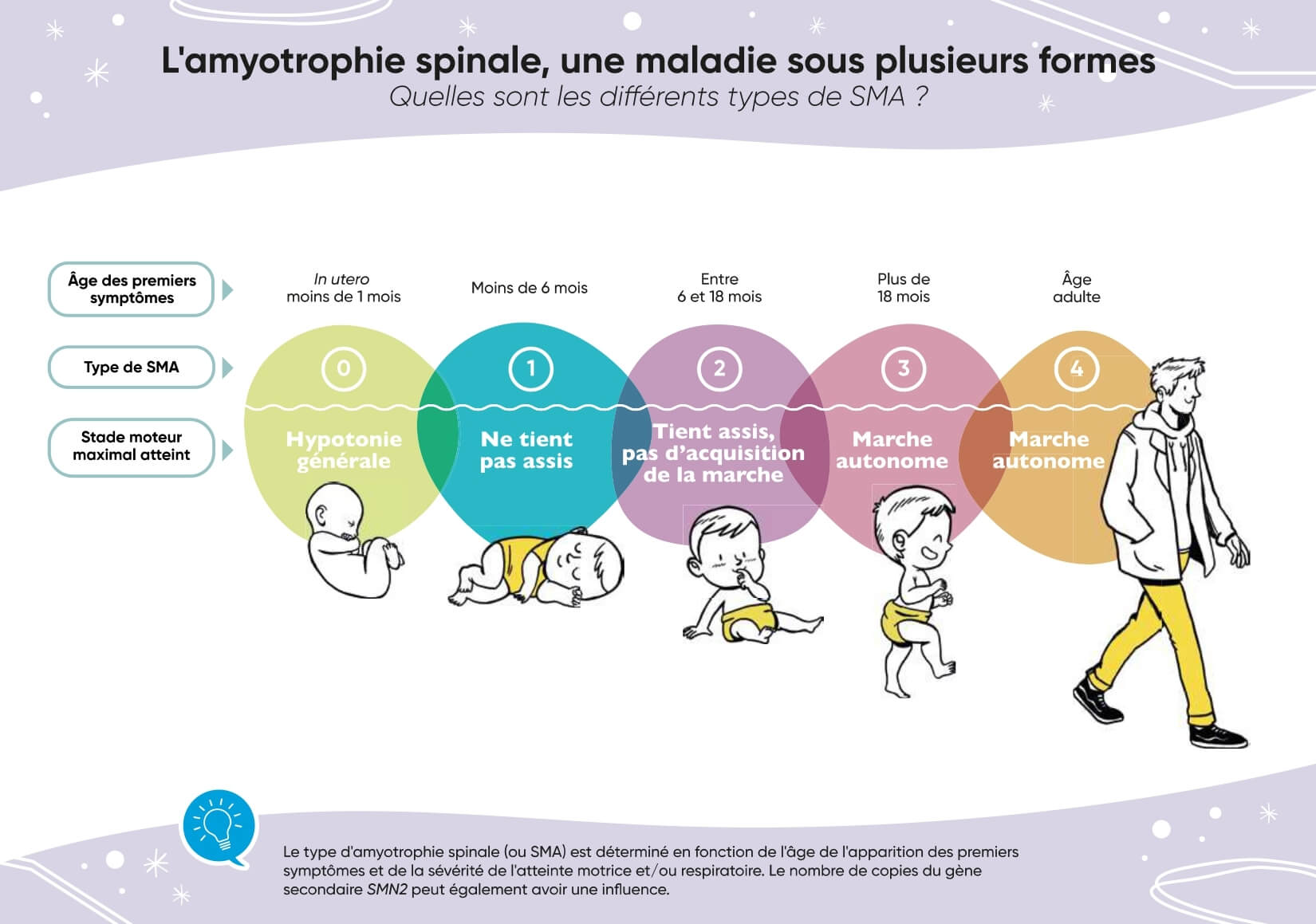 Les 4 types de SMA – ECLAS